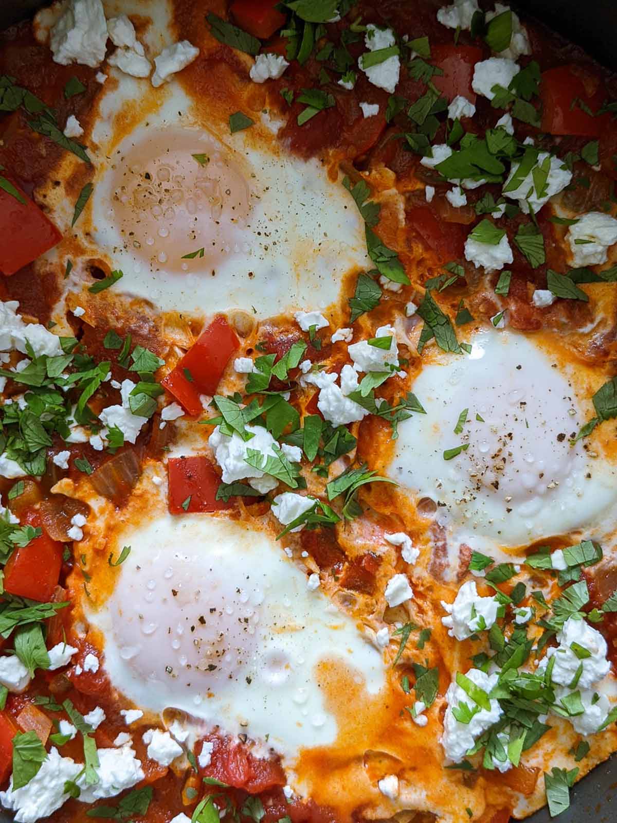 Easy Shakshuka – Curious Citrus